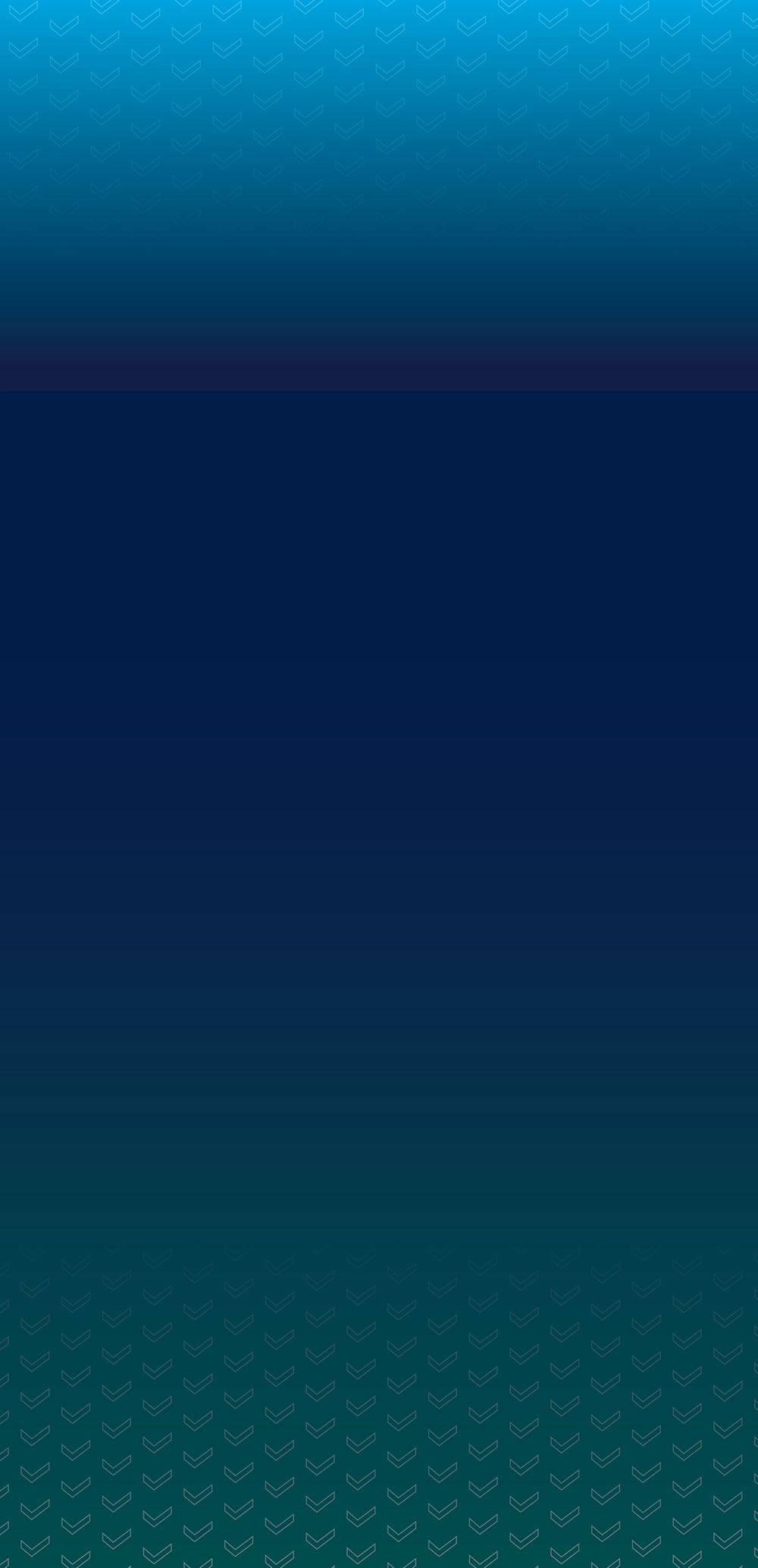 Janus International – Enhanced Ad